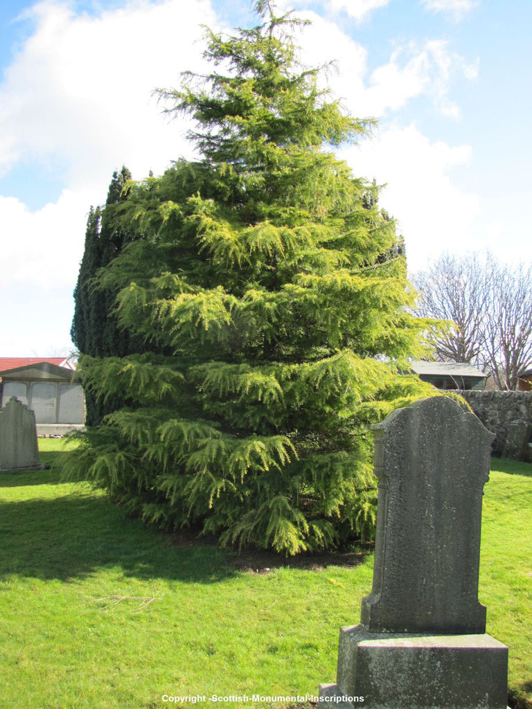 Ceres Church & Cemetery- Nr Cupar- Fife PDF – Scottish Monumental ...